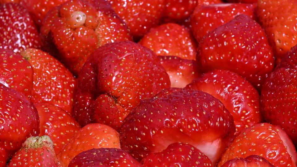 Erdbeeren - 5 gute Gründe für das gesunde Superfood | brisant.de