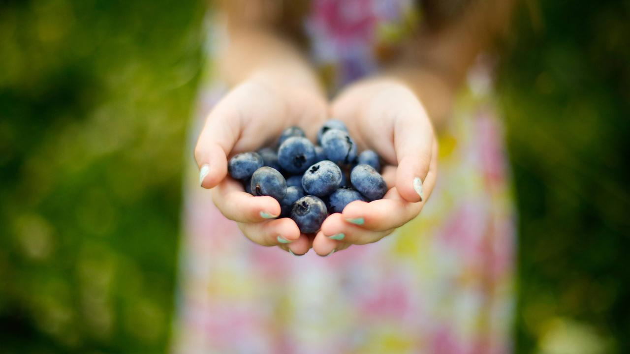 Superfood: Leinsamen und Heidelbeeren sind besser als Avocado und Chia ...