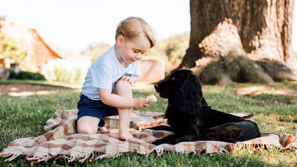 Prinz George ist 12 Jahre alt geworden - Schulwechsel und Pflichten ...
