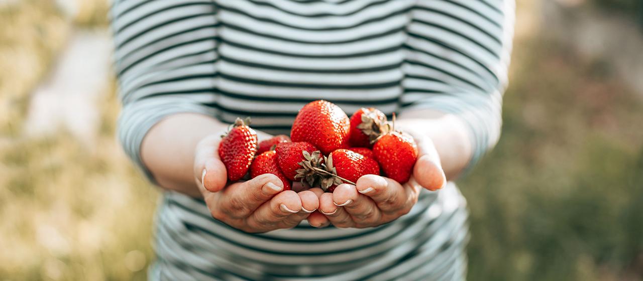 Erdbeeren - 5 gute Gründe für das gesunde Superfood | brisant.de
