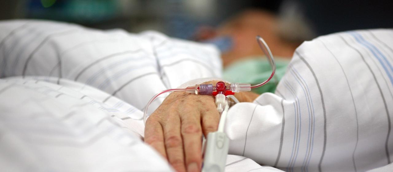 Borna-Virus bei Menschen: Symptome, Übertragung - auch durch Haustiere ...